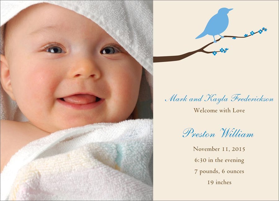 Blue Bird on Branch - Birth Invitations & Announcements by CardsDirect