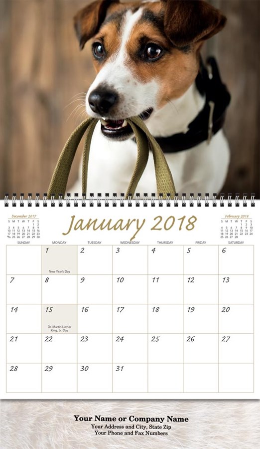 Canine Spiral Wall Calendar by CardsDirect